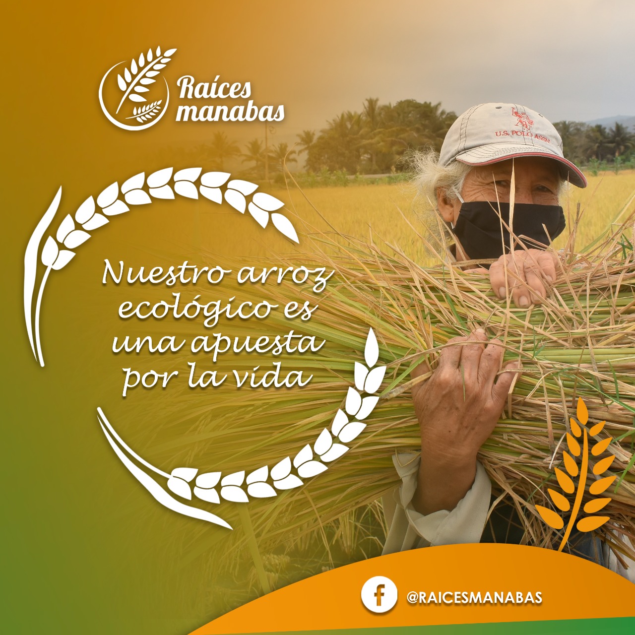 MANABÍ CONVIDA: Cierra su ejecución con importantes hitos a favor de la ...